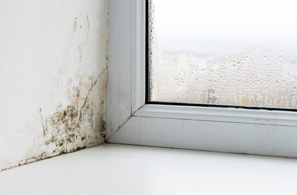Mold and Mildew Before Painting | Benchmark Painting