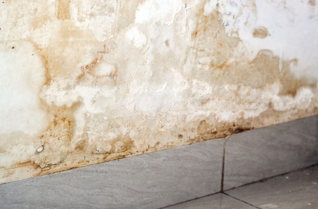 Simple Fixes for Water Marks on Walls